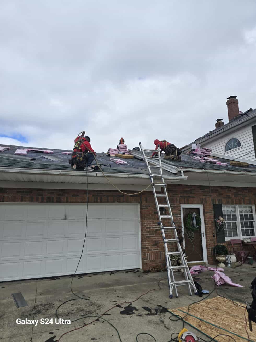 Bird Damage to Roofs – Bird Management
